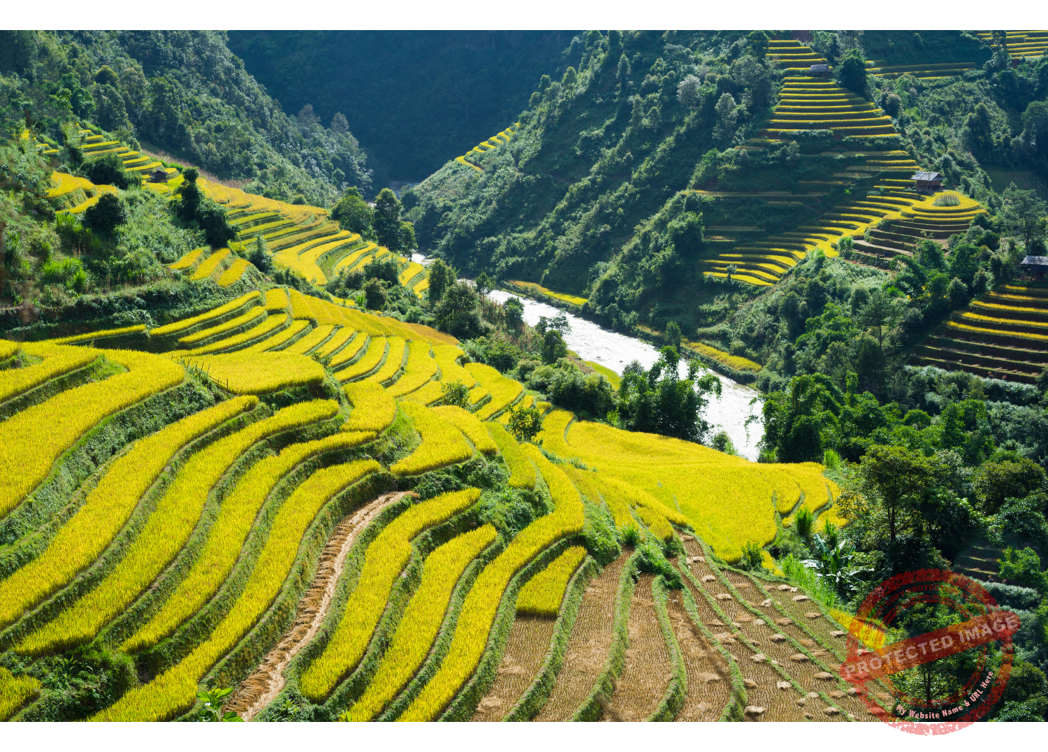 An Overview of Asia - Introduction 101