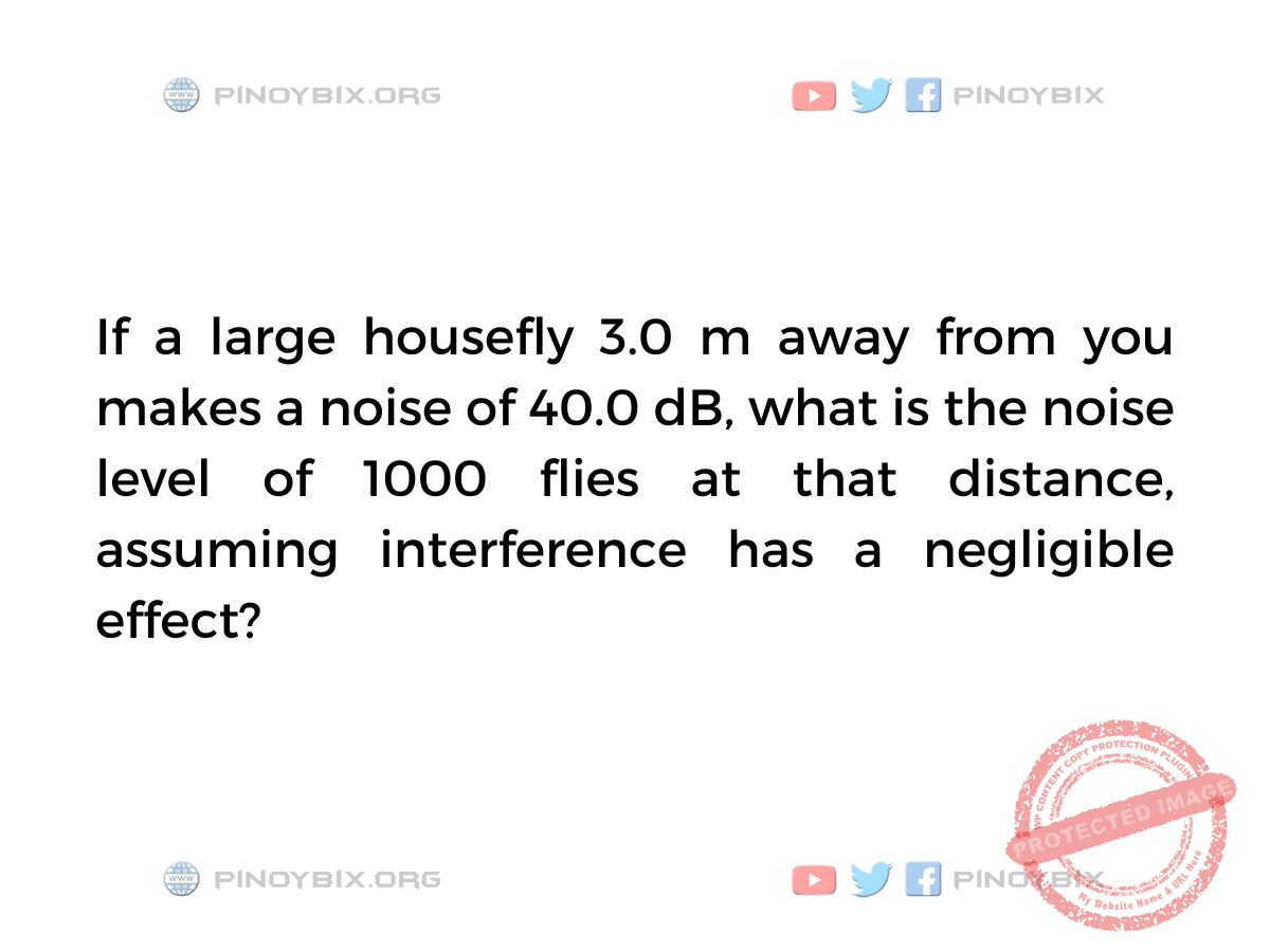 Solution: What is the noise level of 1000 flies at that distance